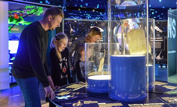 Deep dive into the unknown at GRPM’s new ocean exhibition - Grand ...